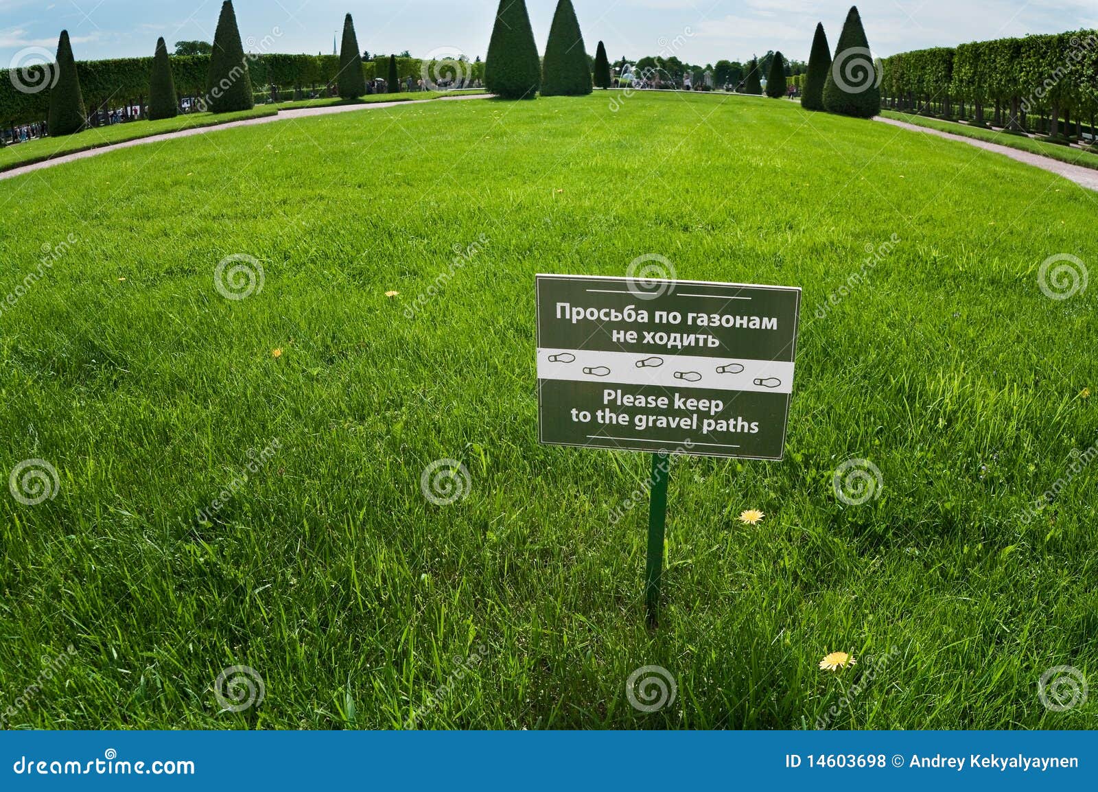 Tag with Notice on Green Grass Stock Photo - Image of placard ...