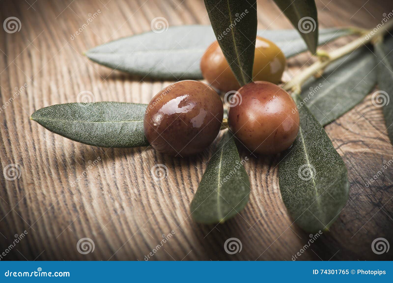Taggiasche olive stock image. Image of harvest, culture - 74301765