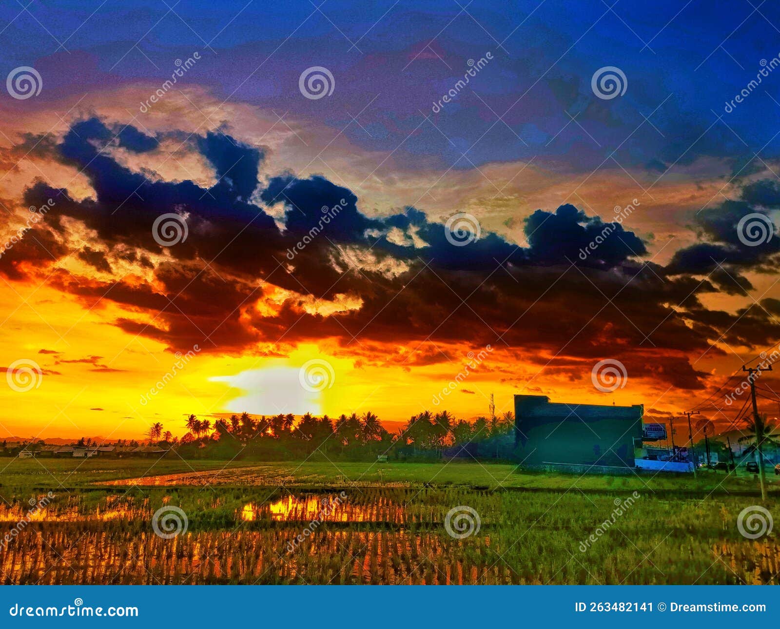 Tagled wires at mountain stock image. Image of senja - 263482141