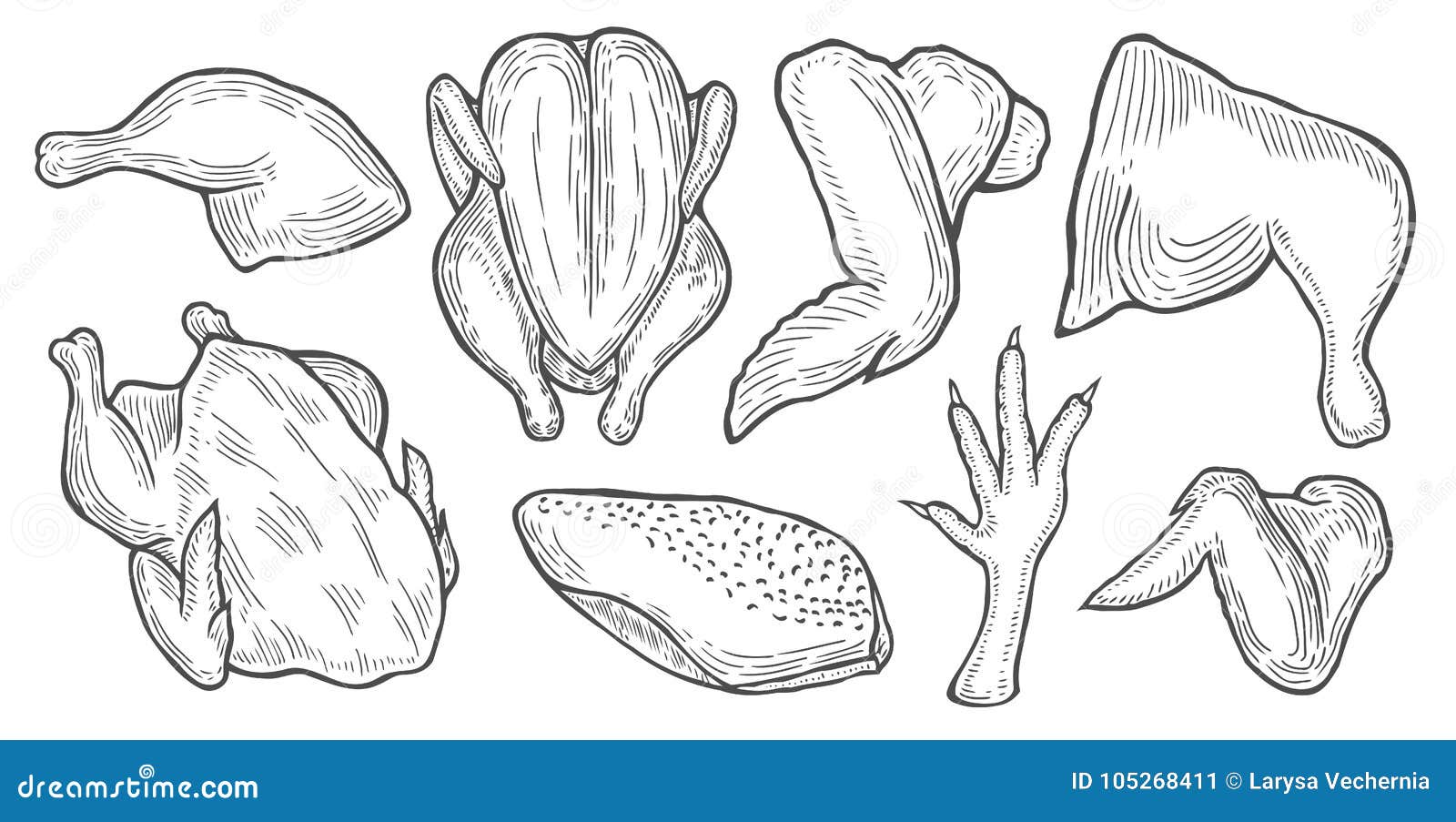 Tagli Del Pollo, Parti Della Gallina Illustrazione Vettoriale ...