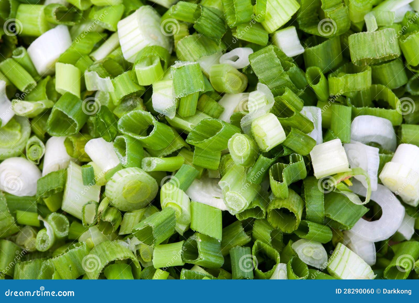 Tagli la cipolla verde fotografia stock. Immagine di nomi - 28290060