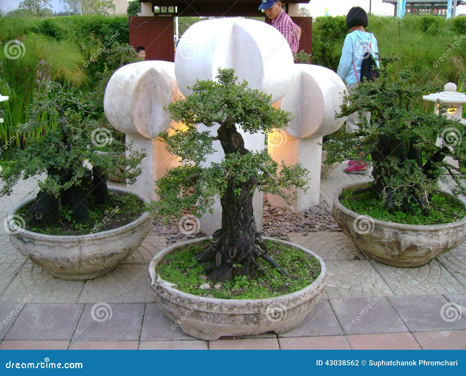 Tago bending editorial photography. Image of bending - 43038562