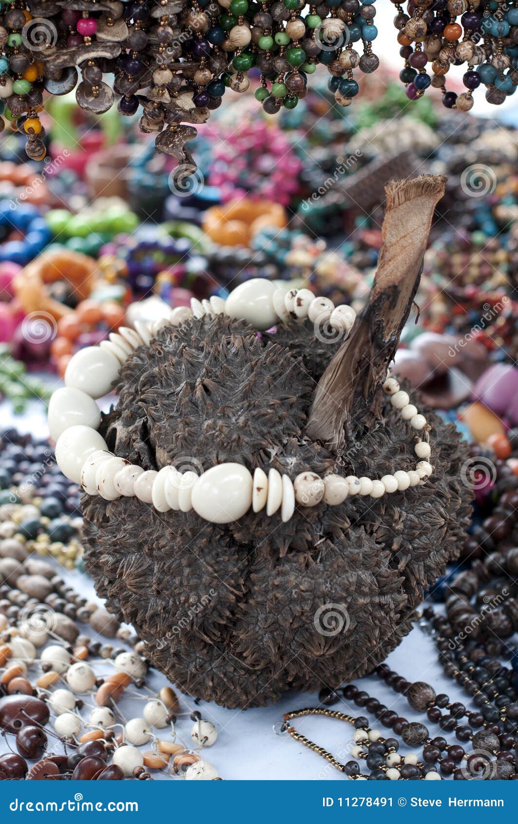 Tagua imagen de archivo. Imagen de planta, arte, blanco - 11278491