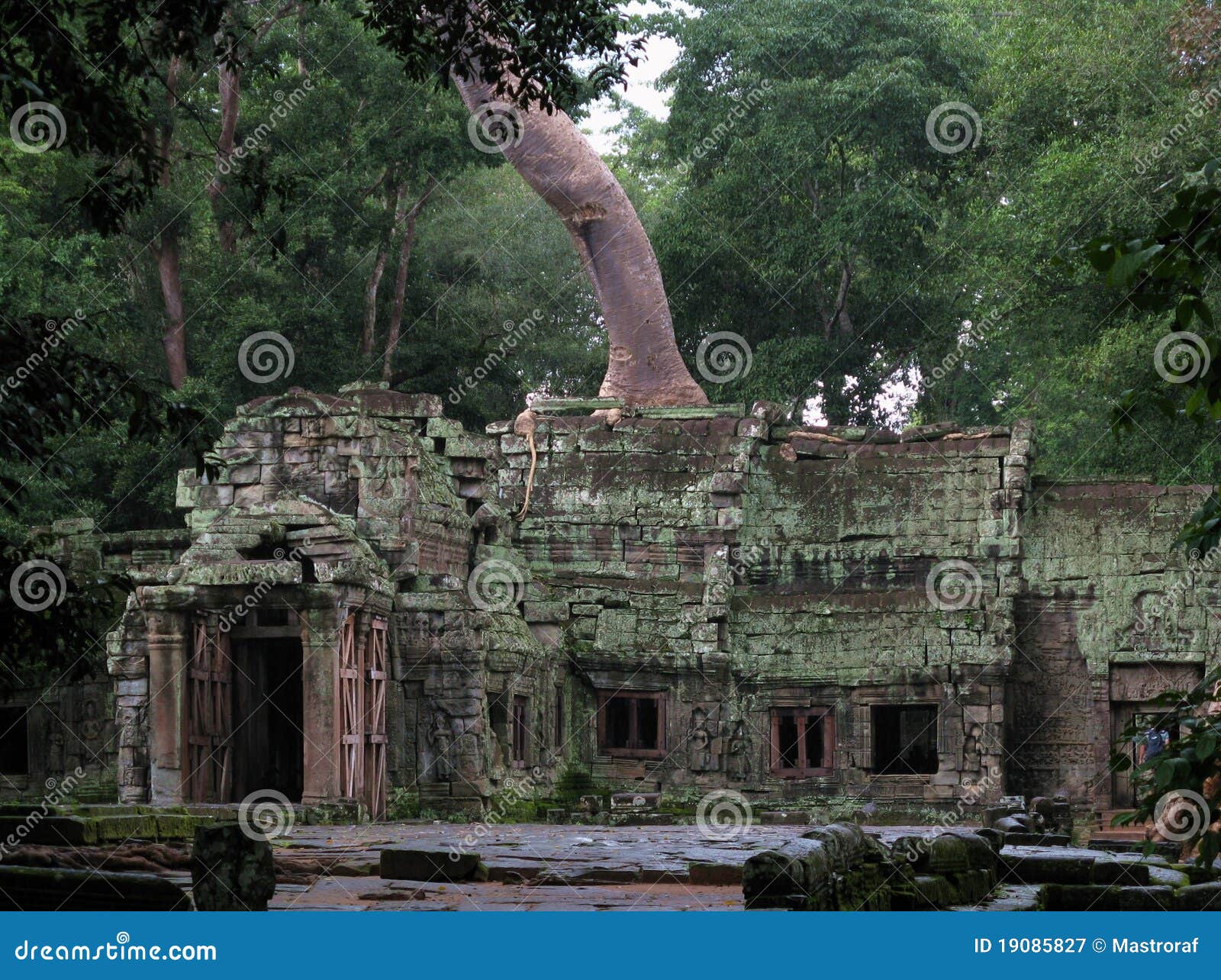 Tah Prohm stock image. Image of tree, thom, cambodia - 19085827