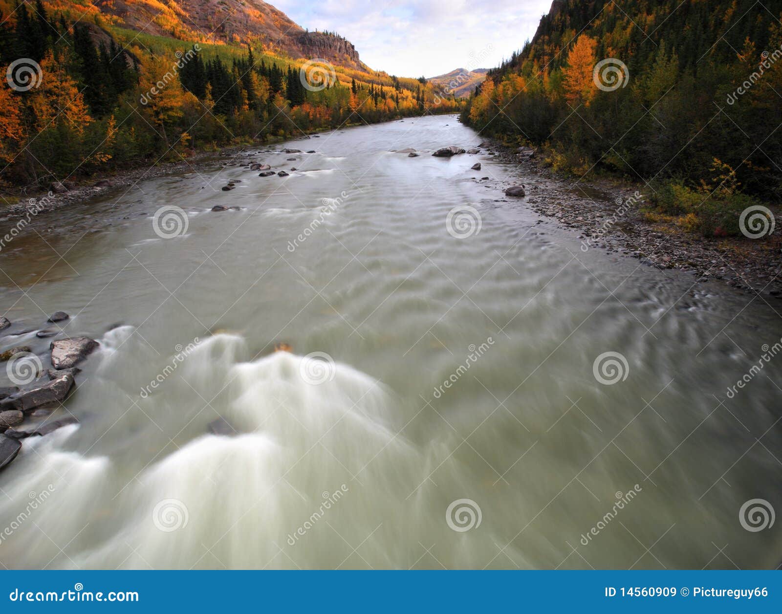 Tahltan River Northern British Columbia Stock Image - Image of bush ...
