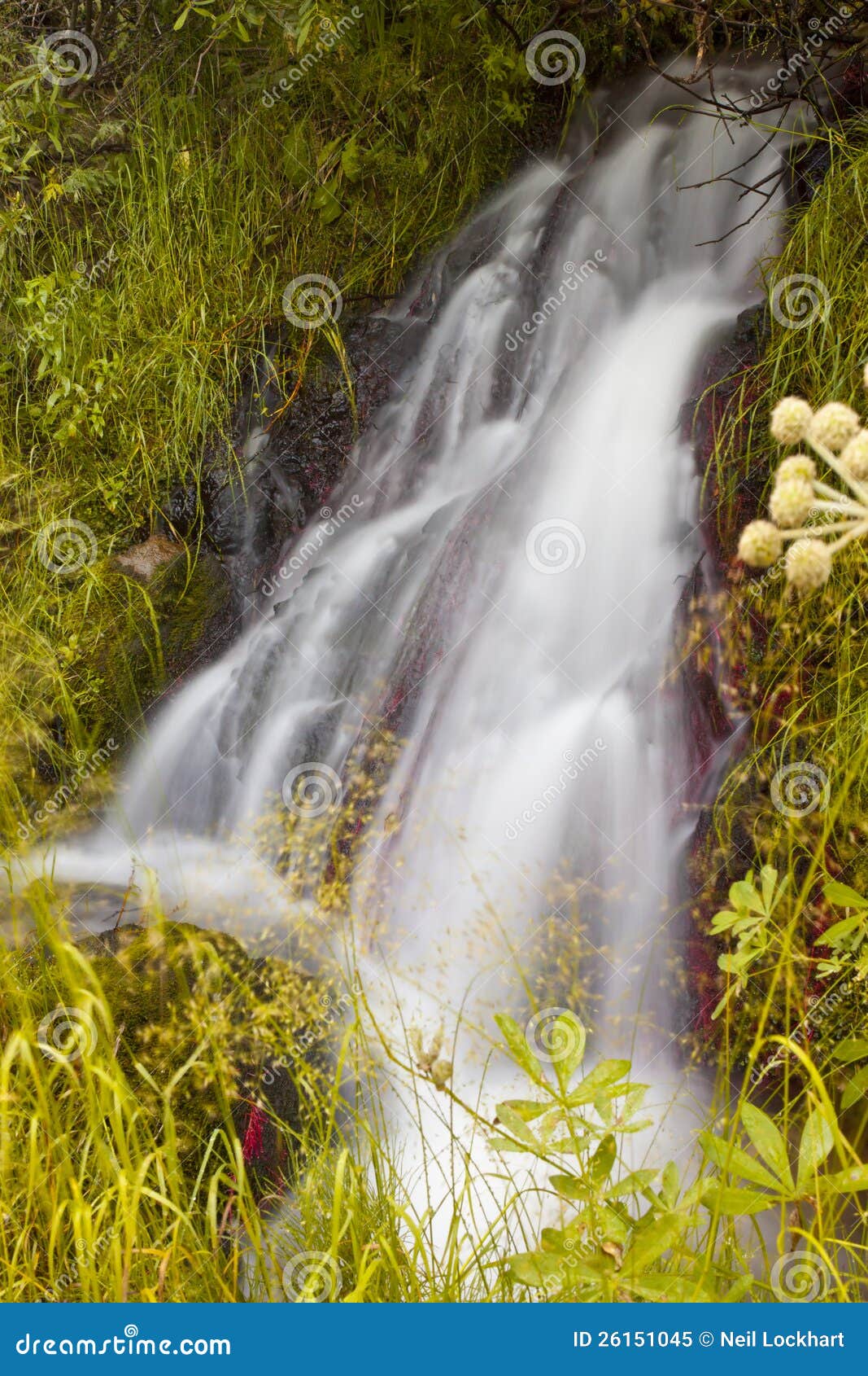 Tahoe Flume Trail Waterfall Stock Image - Image of waterfall, blur ...