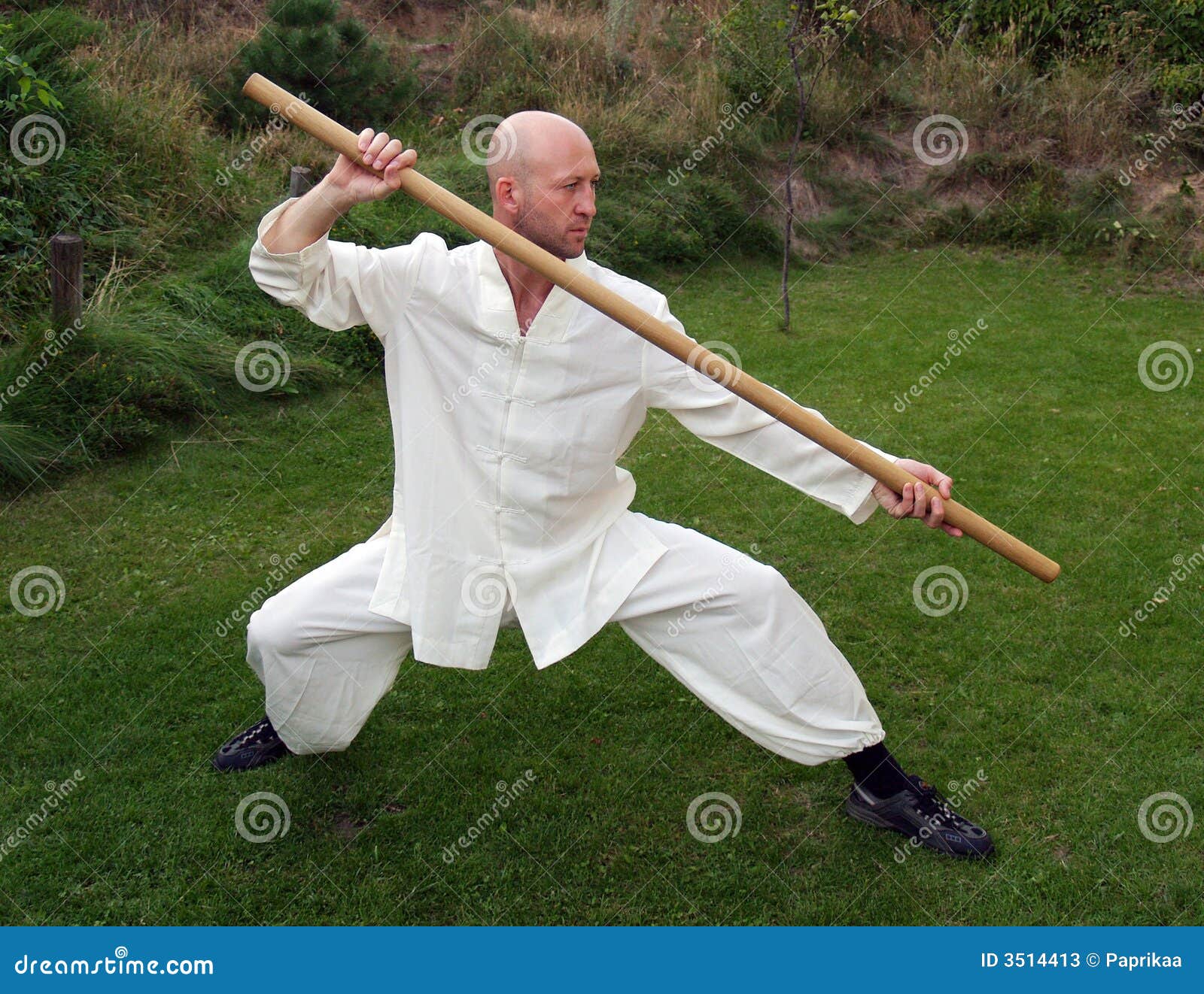 Tai Chi met een pool stock afbeelding. Image of concentratie - 3514413