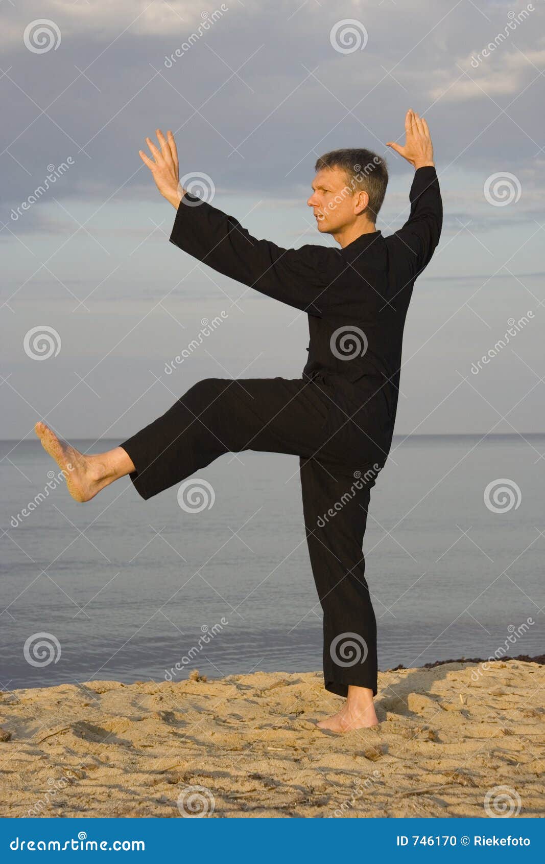 Tai Chi - Posture Kick with Left Heel Stock Photo - Image of figure ...