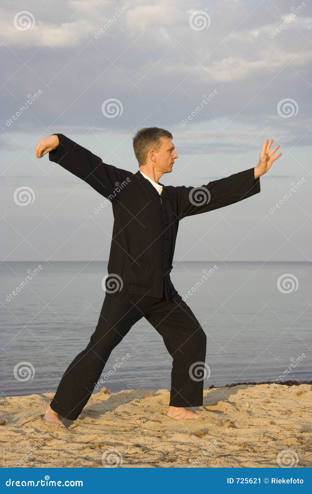 Tai Chi - Posture Single Whip Stock Image - Image of china ...