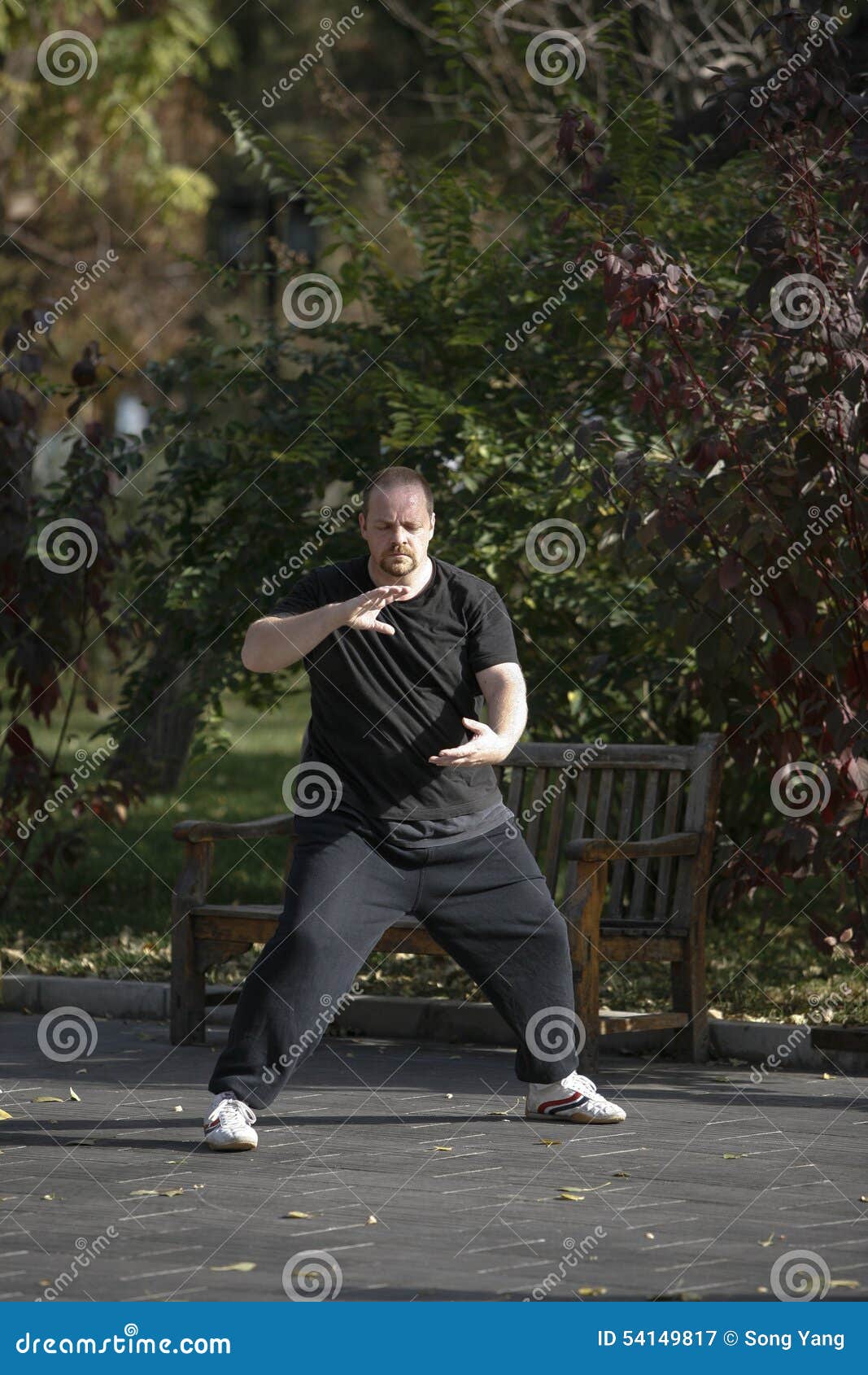 Tai chi - posture ward-off editorial photography. Image of relaxation ...