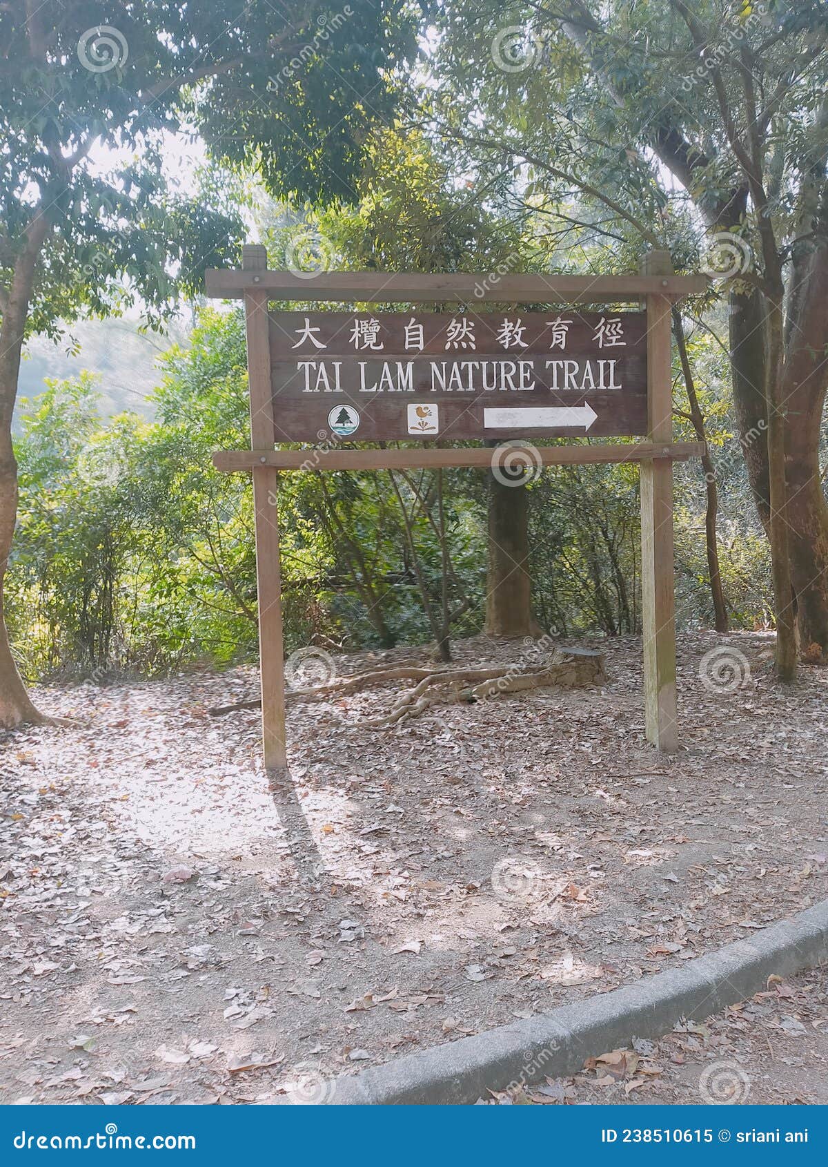 Tai lam nature trail stock image. Image of sign, plant - 238510615