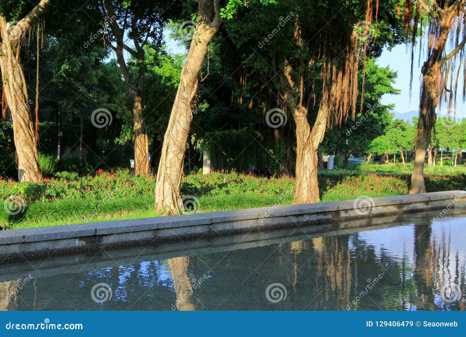 A Tai Po Waterfront Park in Hong Kong Stock Image - Image of pavement ...