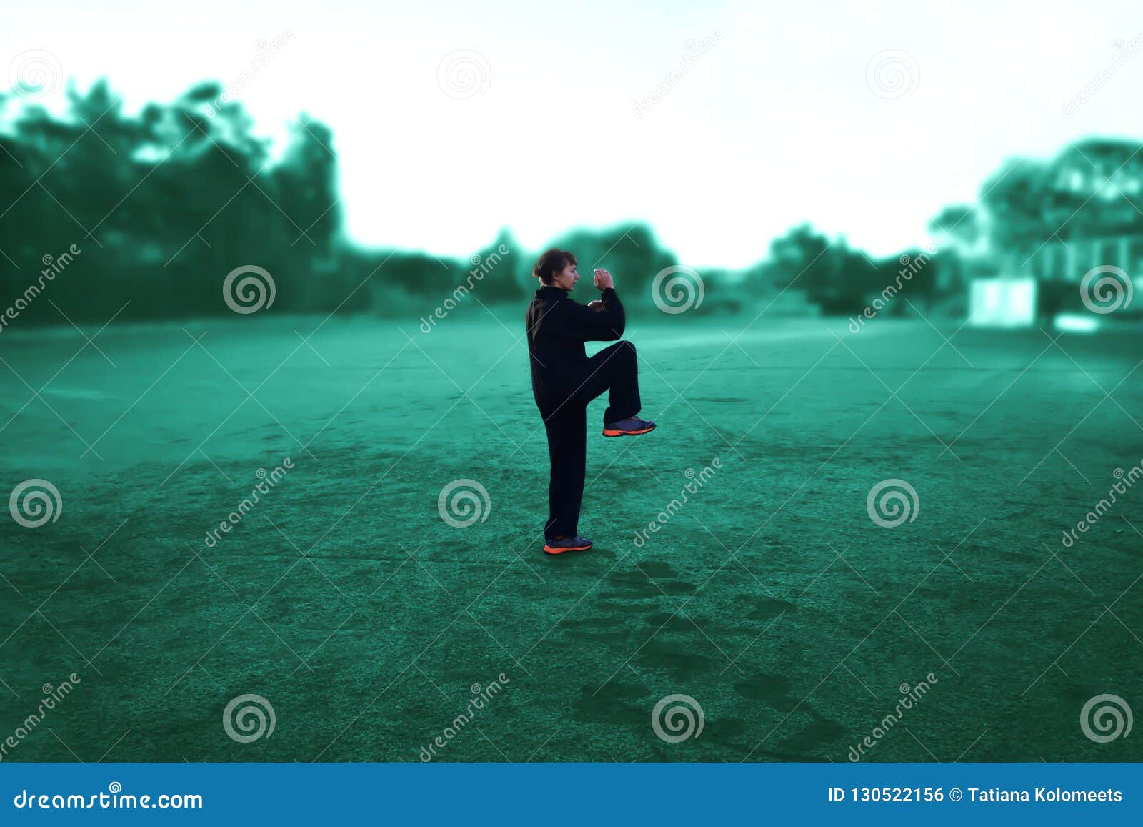 Taichi Wushu Master Woman Outdoors in Move Stock Photo - Image of scene ...