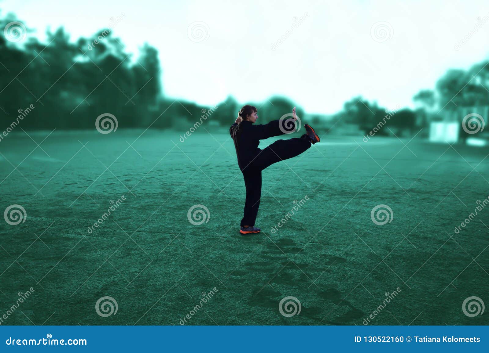 Taichi Wushu Master Woman Outdoors in Move Stock Photo - Image of asia ...