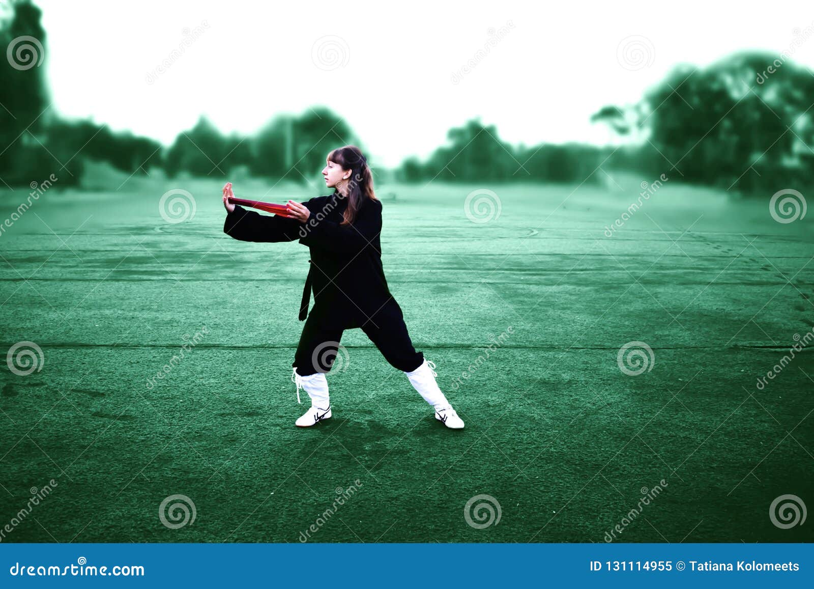Taichi Wushu Master Woman in the Outdoors Move with the Fan Stock Image ...