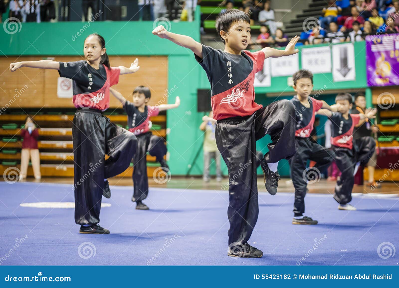 Taichi Wushu editorial photography. Image of taichi, power - 55423182