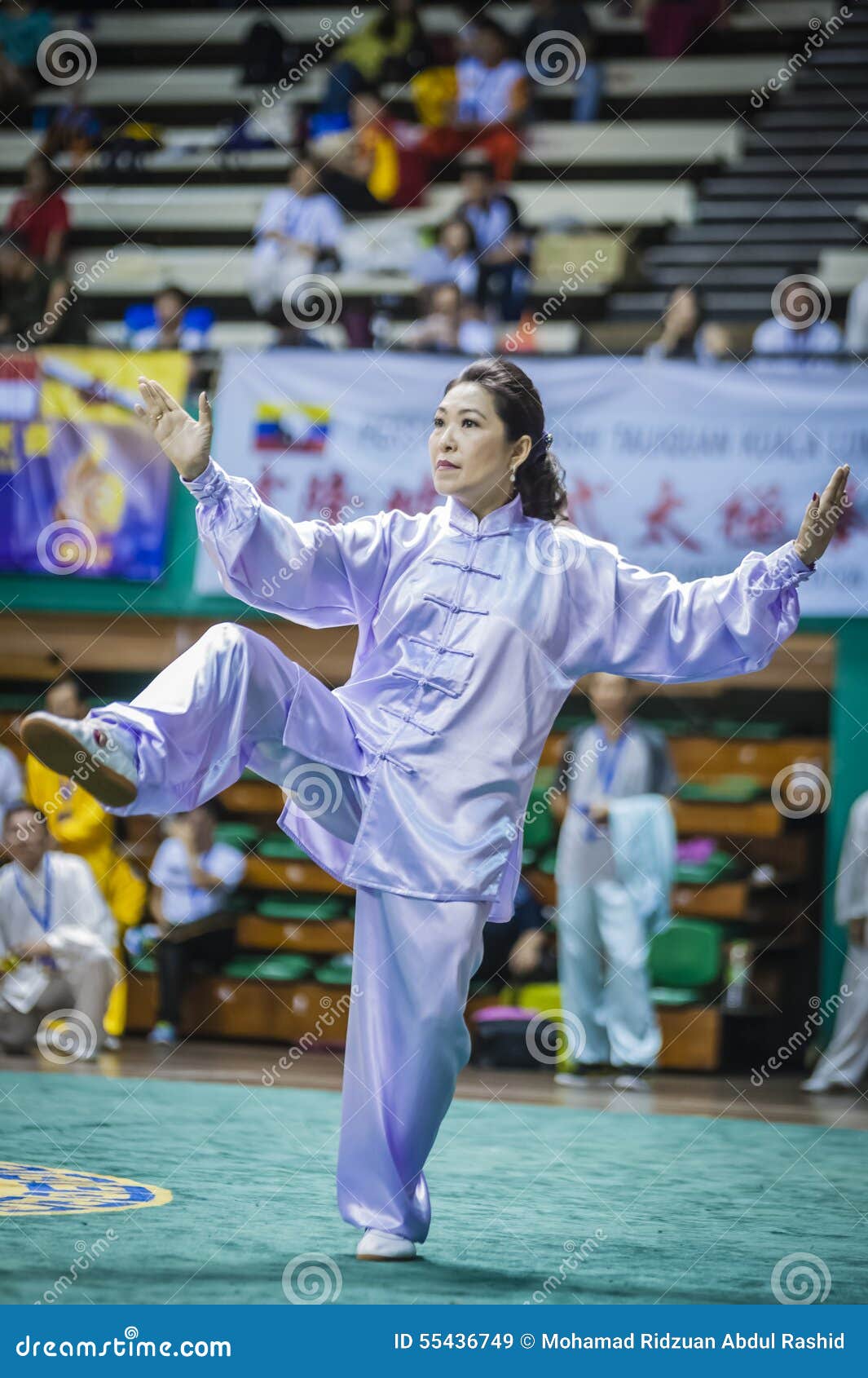 Taichi Wushu editorial stock image. Image of arts, taichi - 55436749