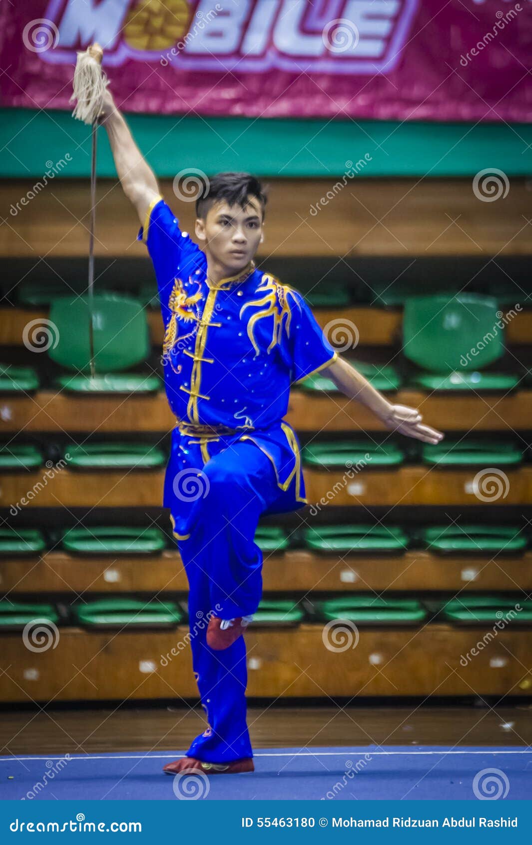 Taichi Wushu editorial image. Image of international - 55463180