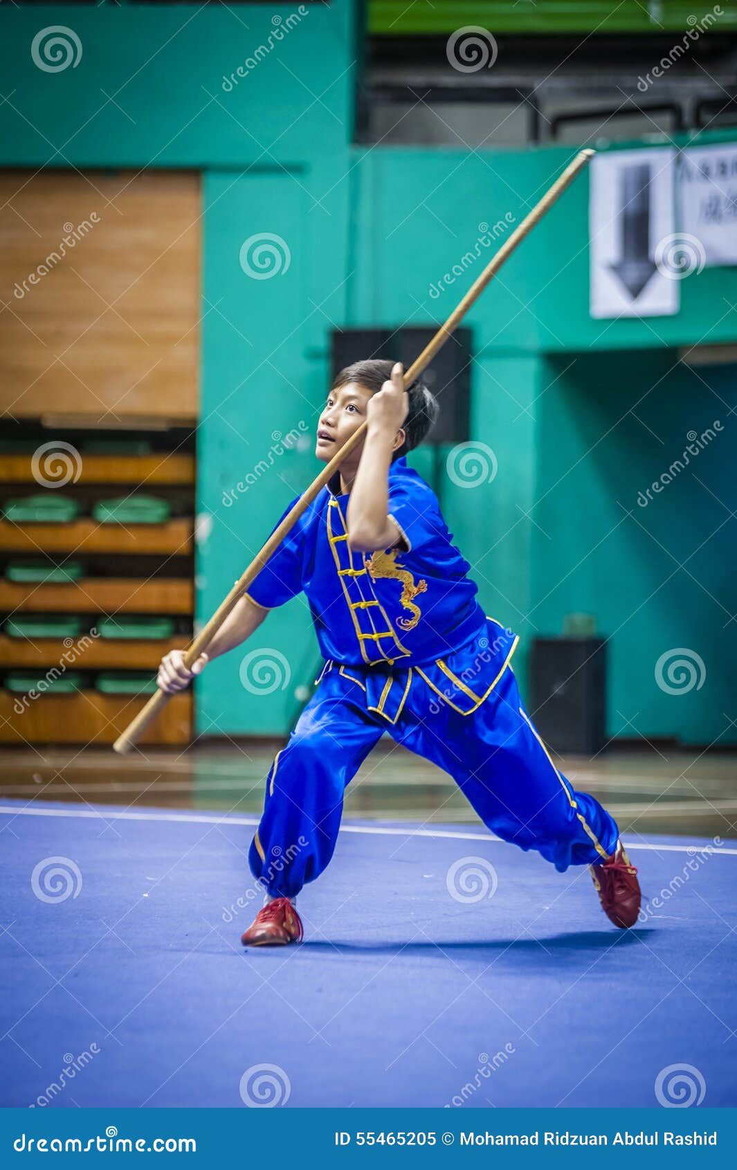 Taichi Wushu editorial image. Image of performance, arts - 55465205