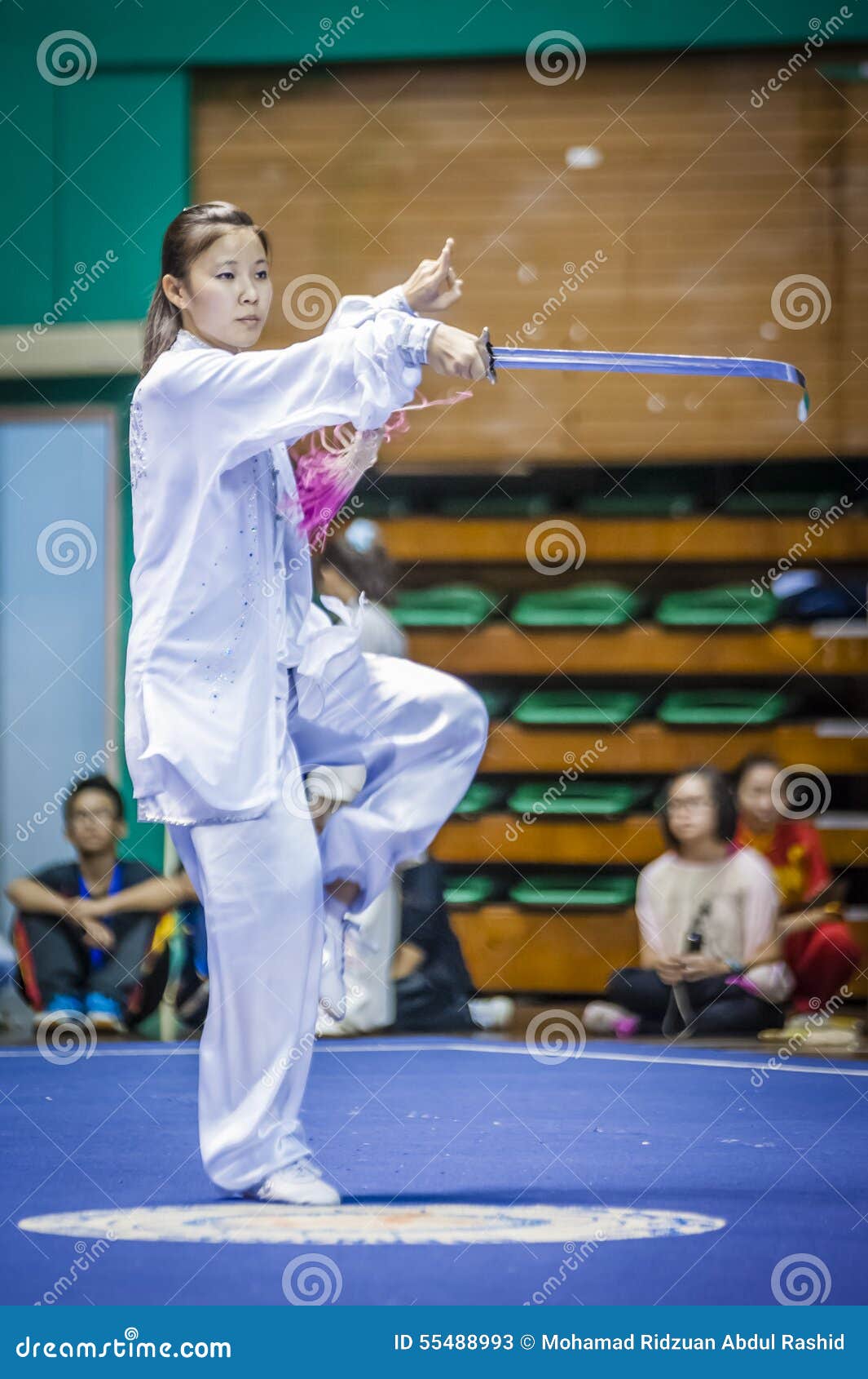 Taichi Wushu editorial stock photo. Image of active, arts - 55488993