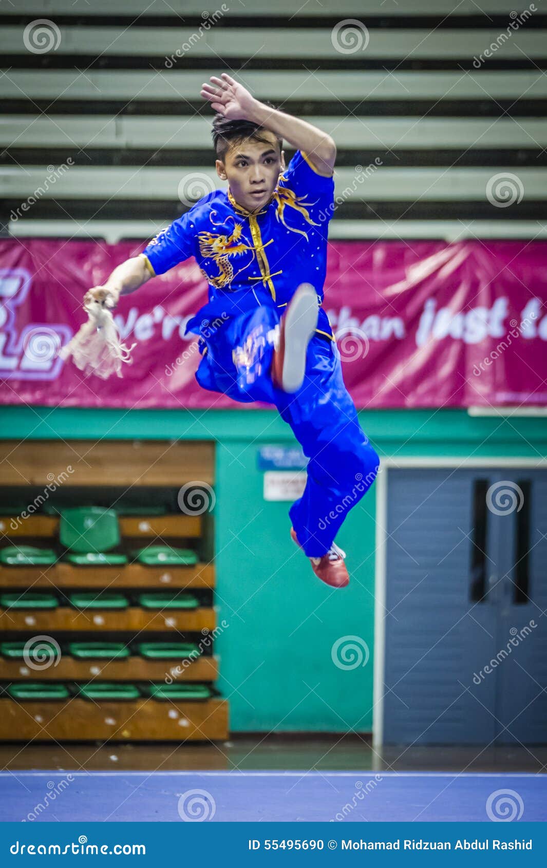 Taichi Wushu editorial image. Image of arts, performers - 55495690
