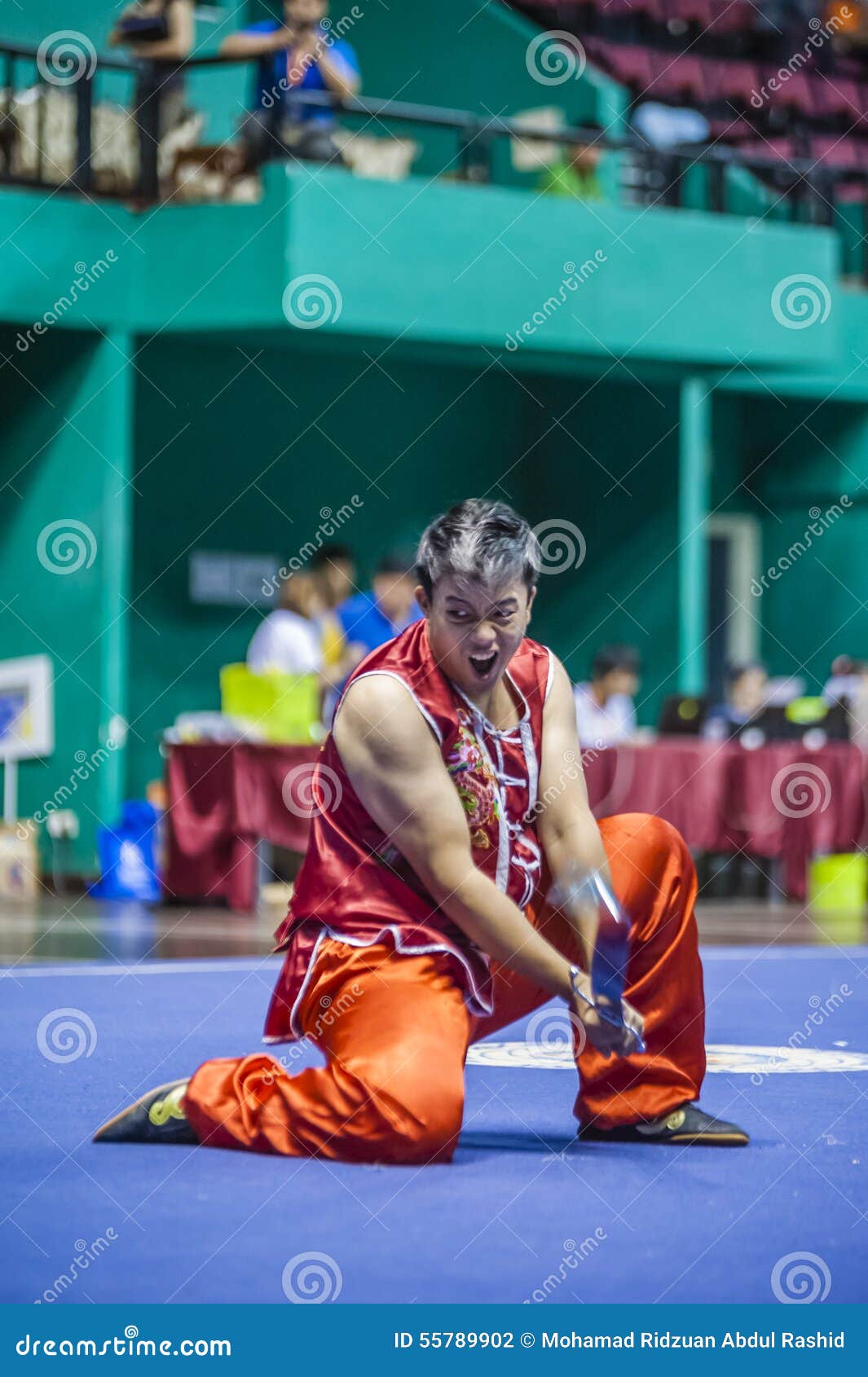 Taichi Wushu editorial photography. Image of performers - 55789902