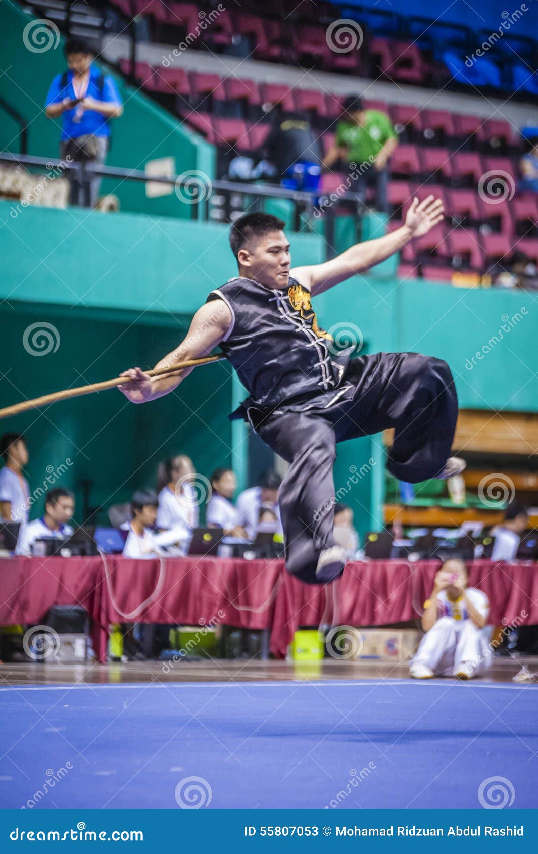 Taichi Wushu editorial stock photo. Image of performance - 55807053