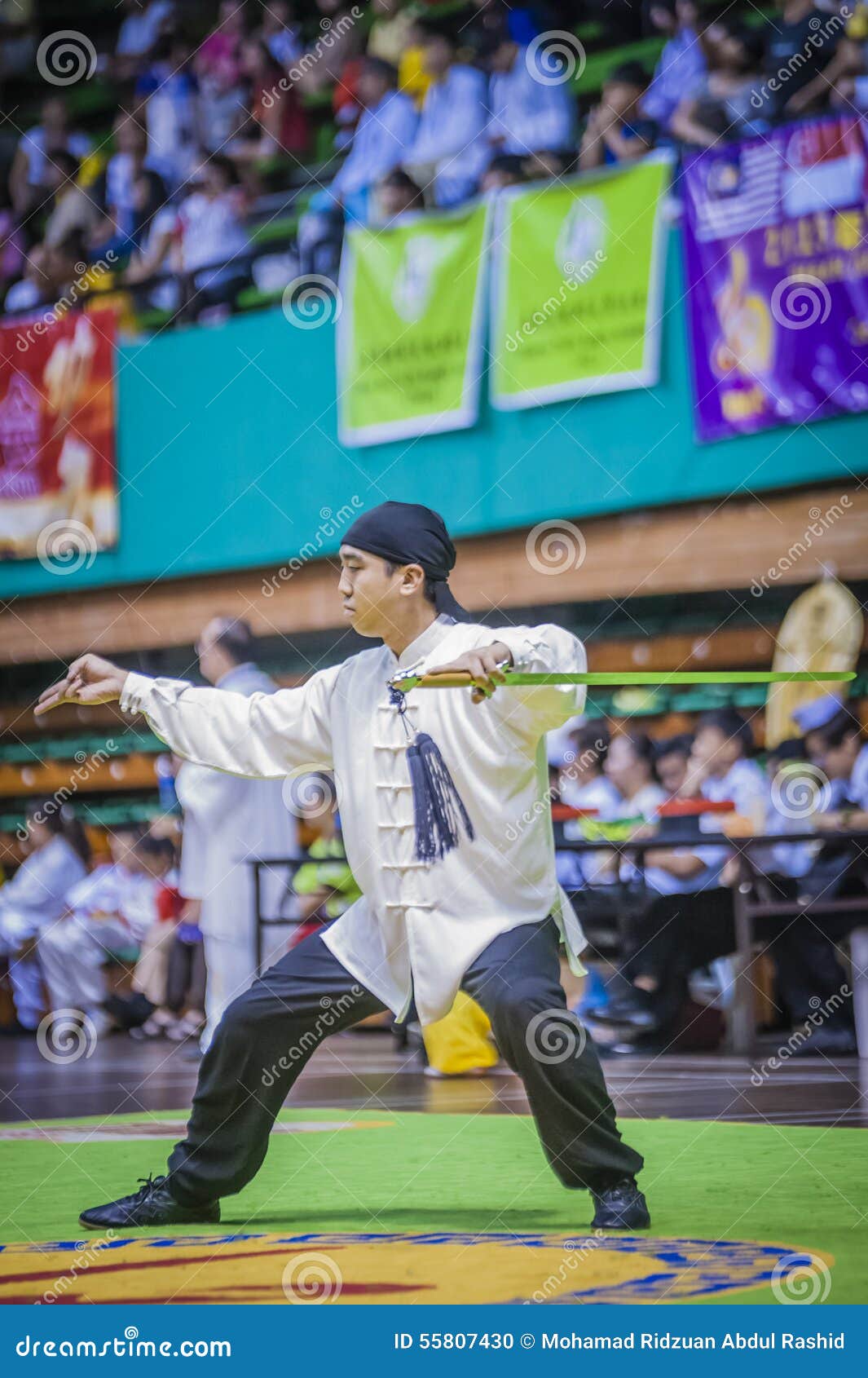 Taichi Wushu editorial image. Image of kungfu, performance - 55807430