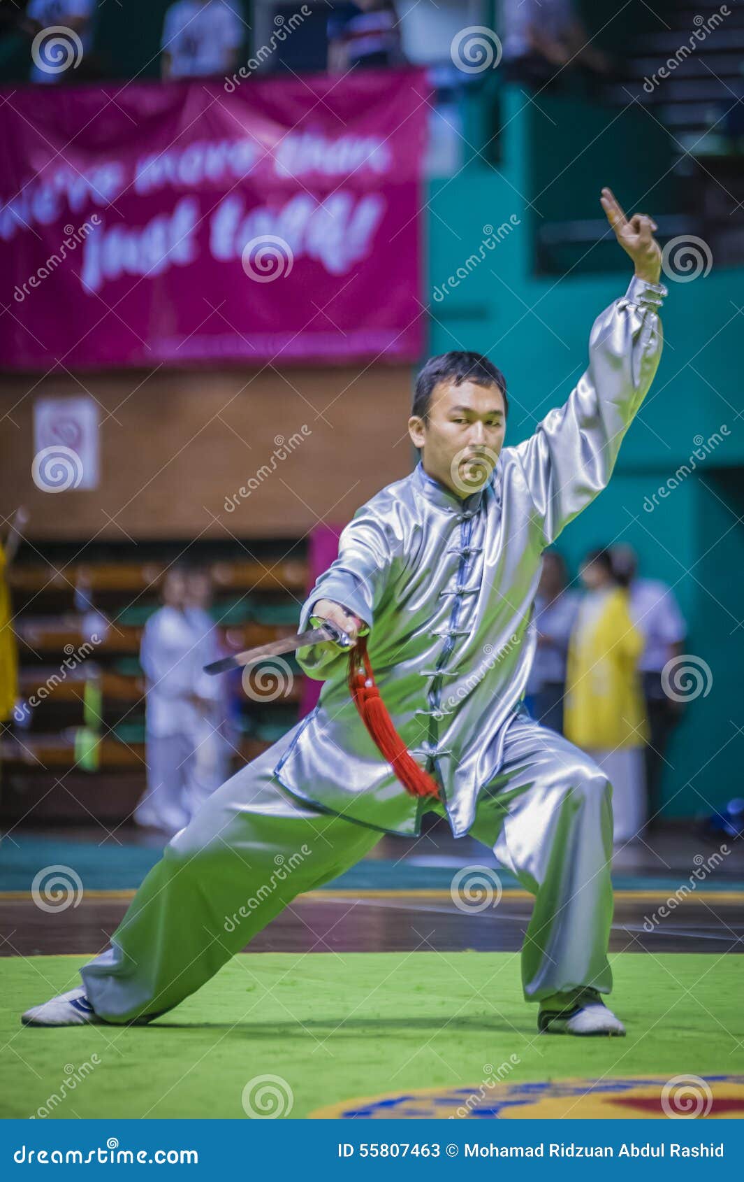 Taichi Wushu editorial stock photo. Image of actions - 55807463
