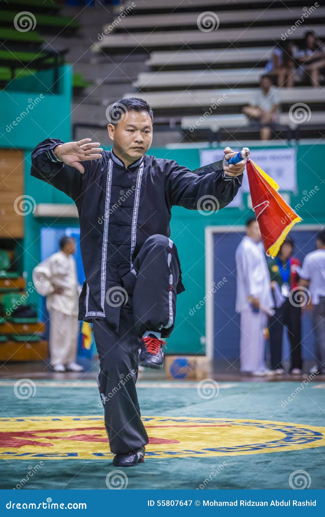 Taichi Wushu editorial photography. Image of taiji, arts - 55807647