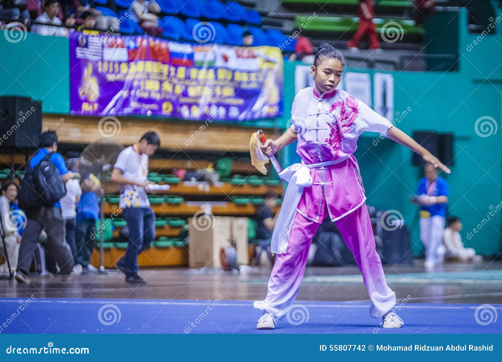 Taichi Wushu editorial photography. Image of arts, performing - 55807742