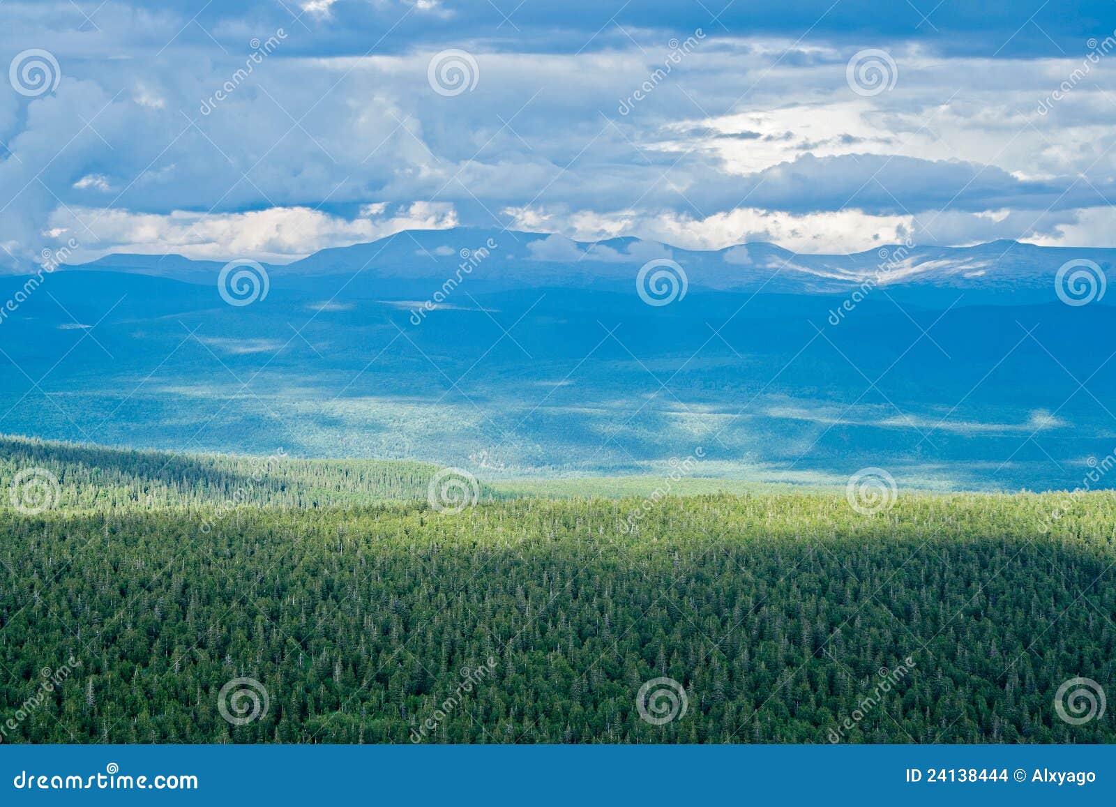 Taiga stock photo. Image of scenery, hills, perm, highlands - 24138444