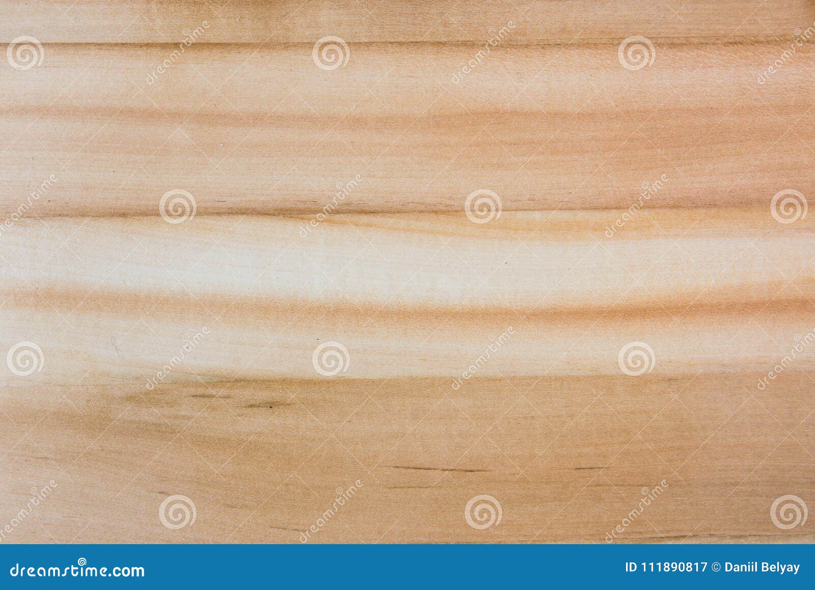 2,009 Birch Wood Grain Wallpaper Stock Photos - Free & Royalty-Free ...