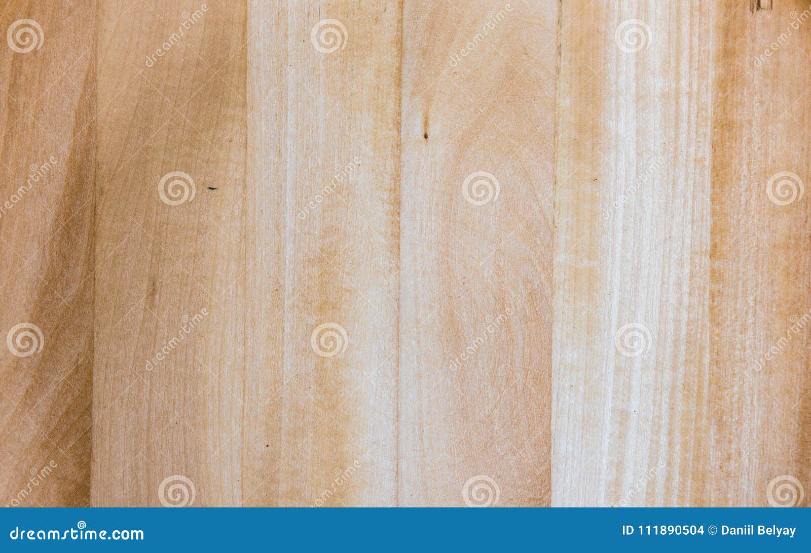 Taiga Birch Wood Grain Texture Pattern Background Stock Photo - Image ...