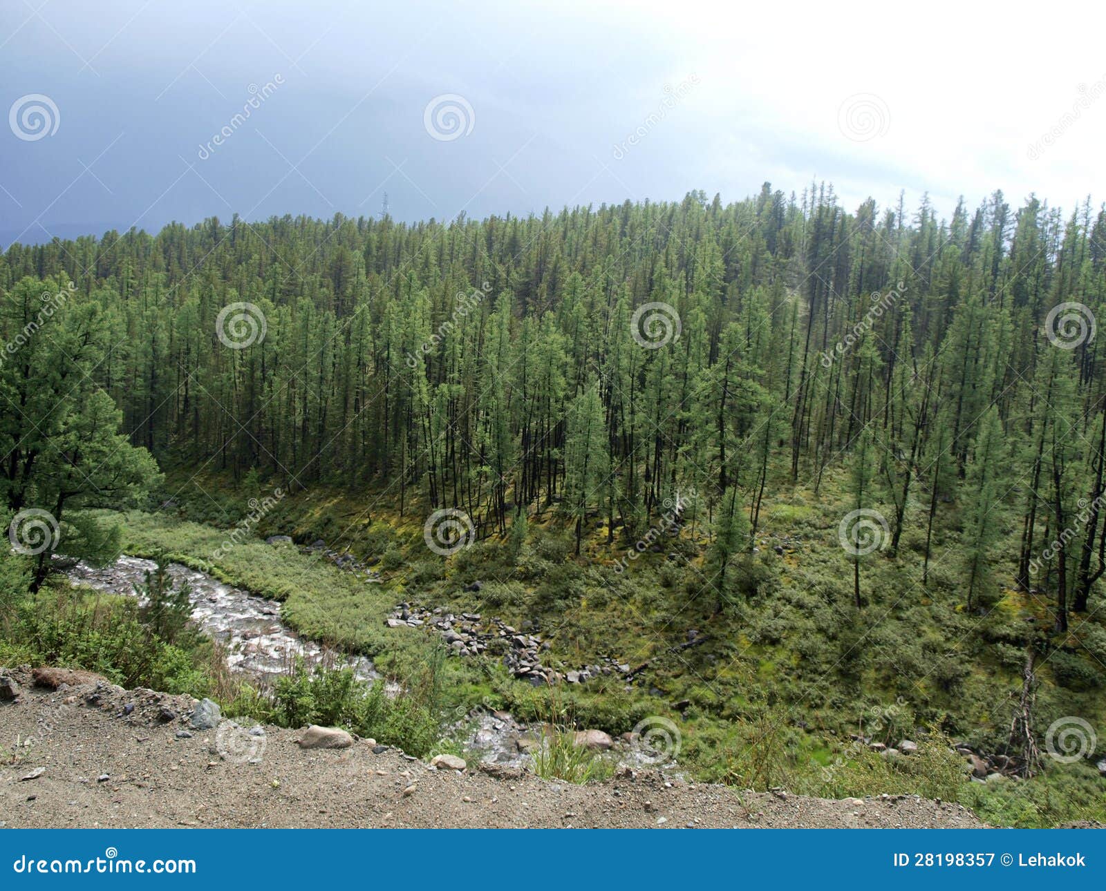 Taiga forest stock image. Image of beautiful, clouds - 28198357