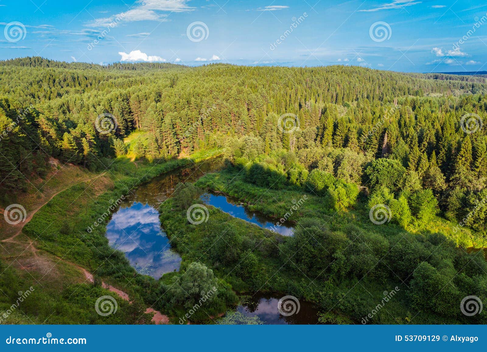 Taiga forest stock image. Image of landscapes, mountains - 53709129