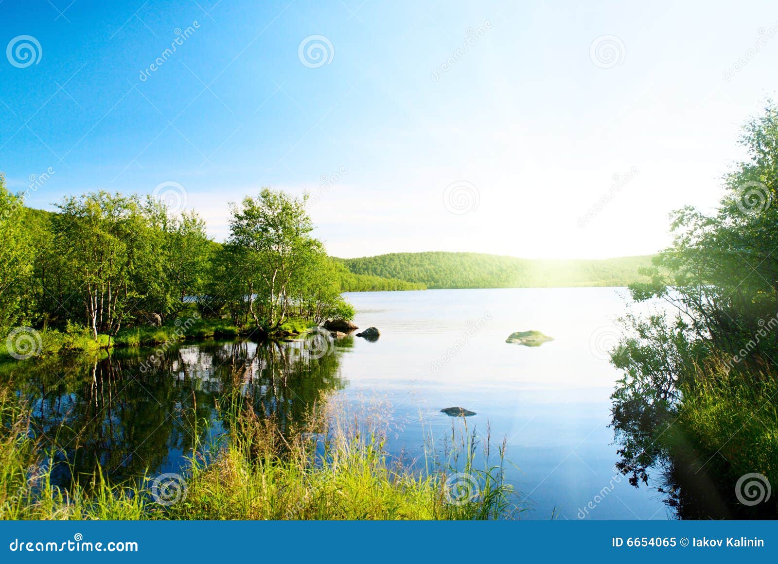 Taiga and lake stock image. Image of nature, tree, summer - 6654065