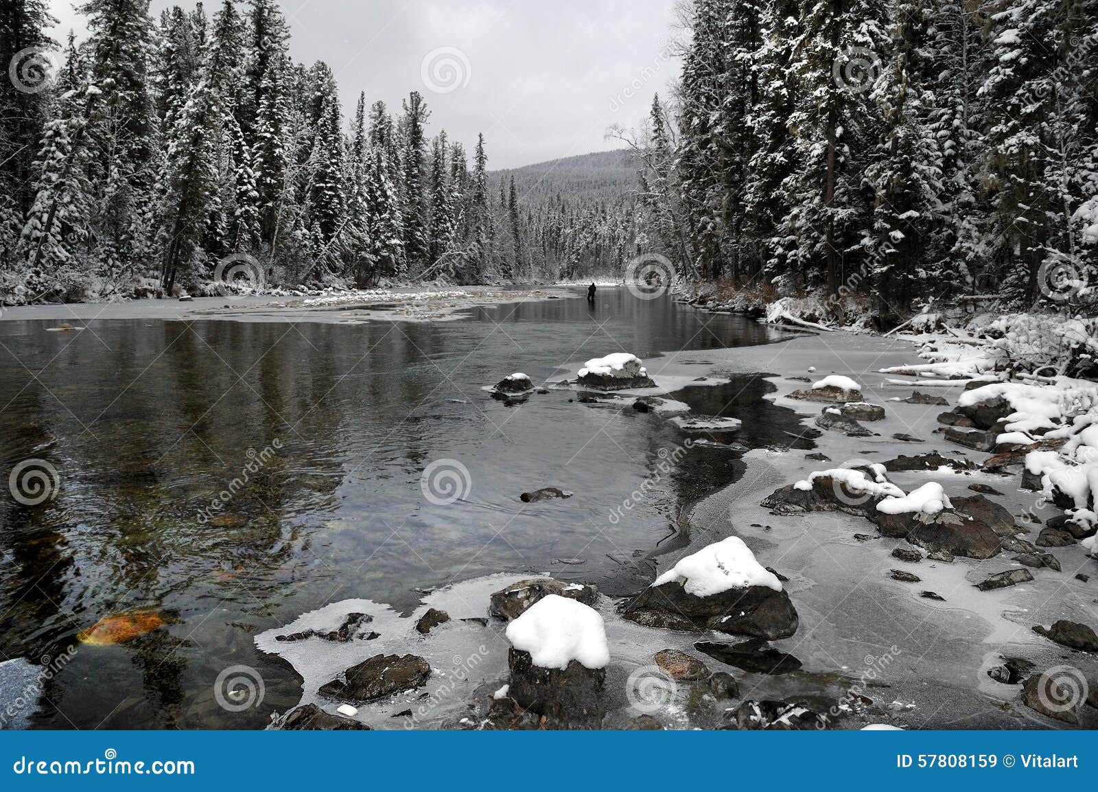 Taiga river stock image. Image of indochina, outdoor - 57808159