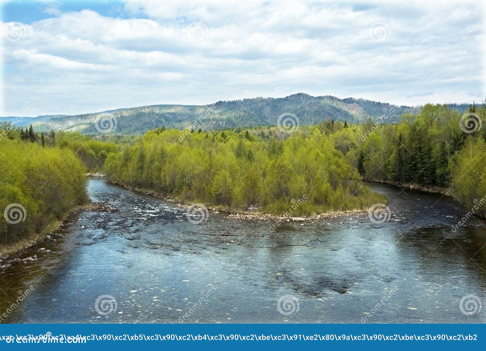 On the taiga river stock photo. Image of bottom, light - 30384276