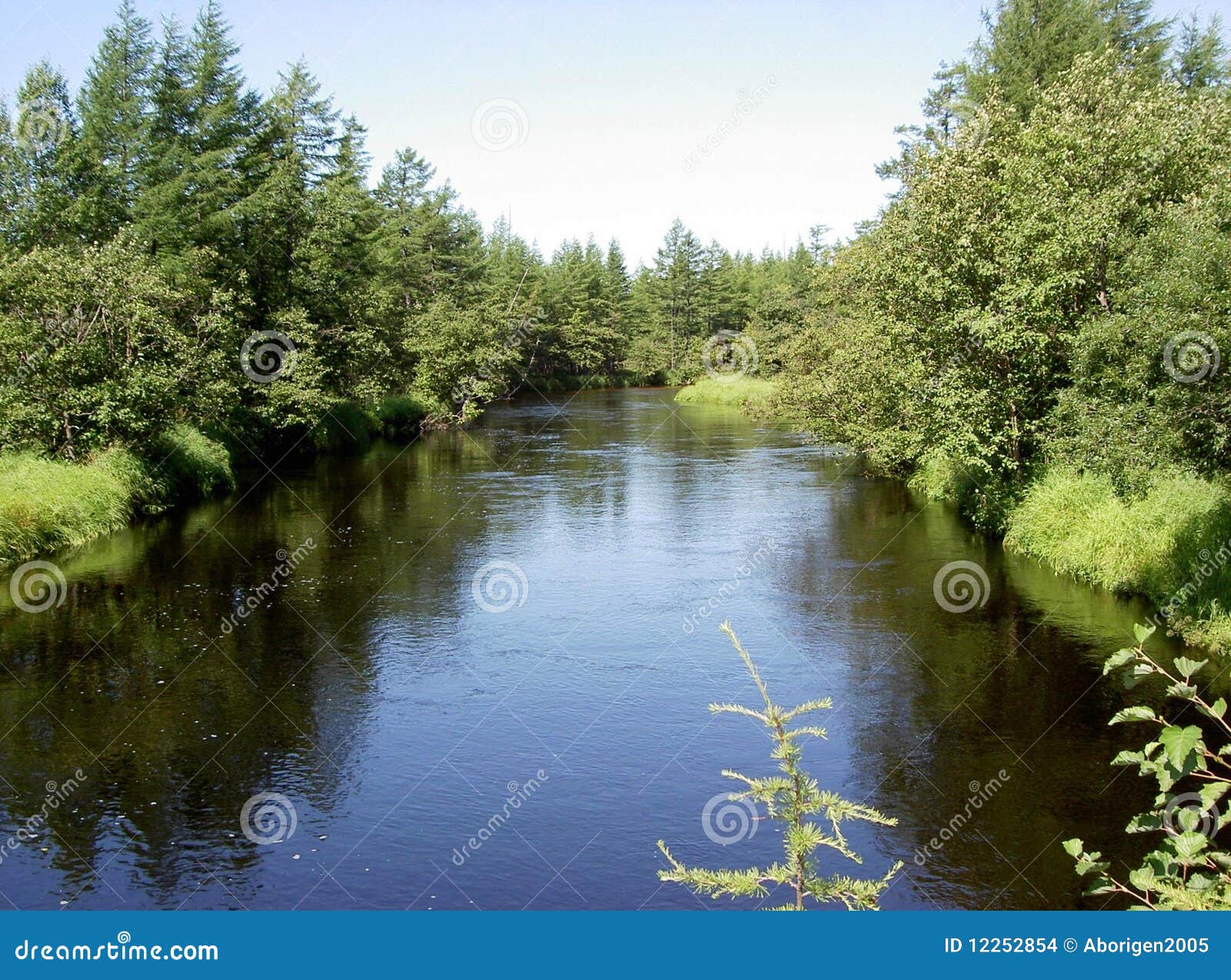 The Taiga River the Shaft on Sakhalin Stock Photo - Image of fine ...