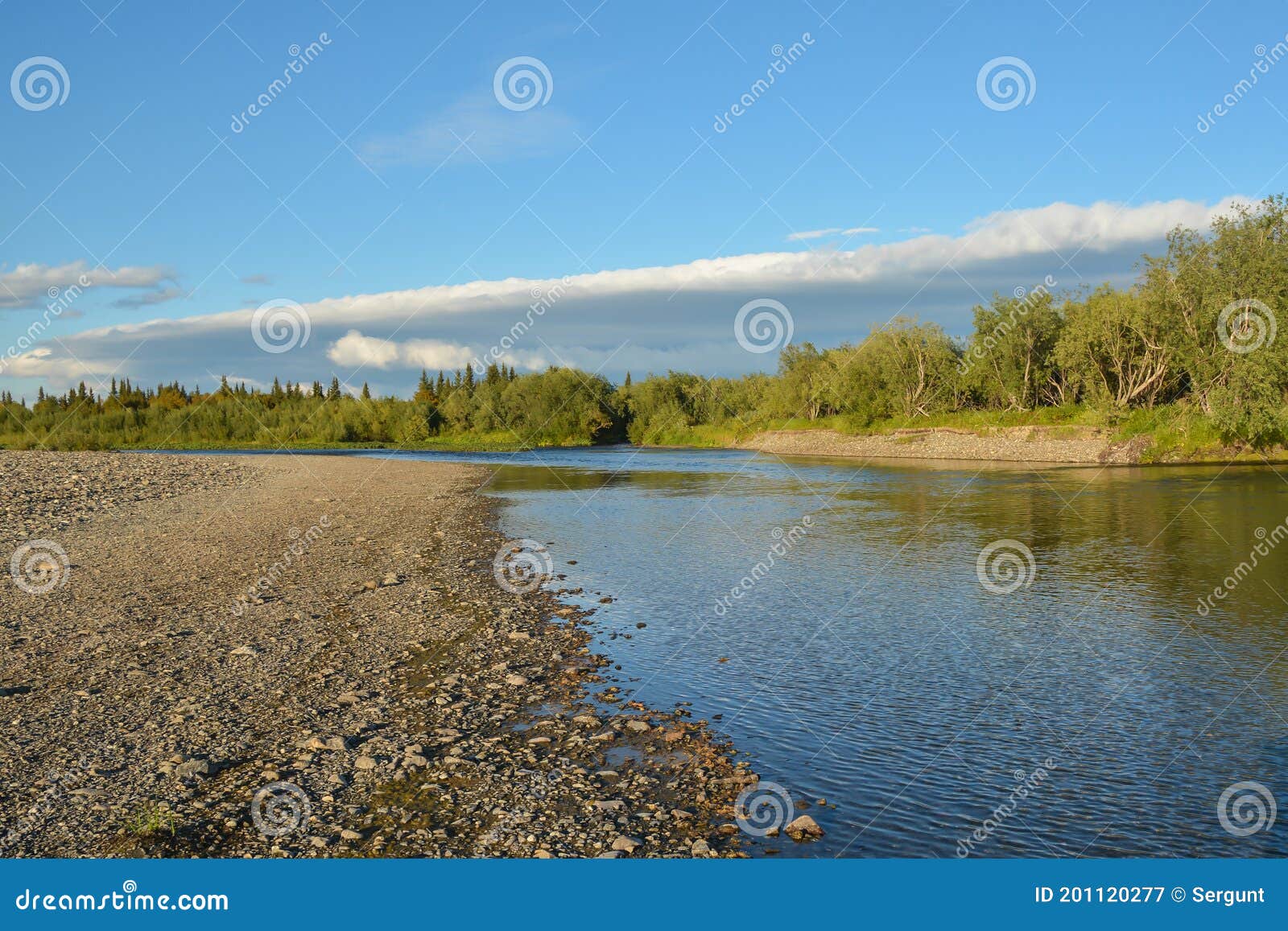 Taiga river stock image. Image of virgin, hiking, nature - 201120277
