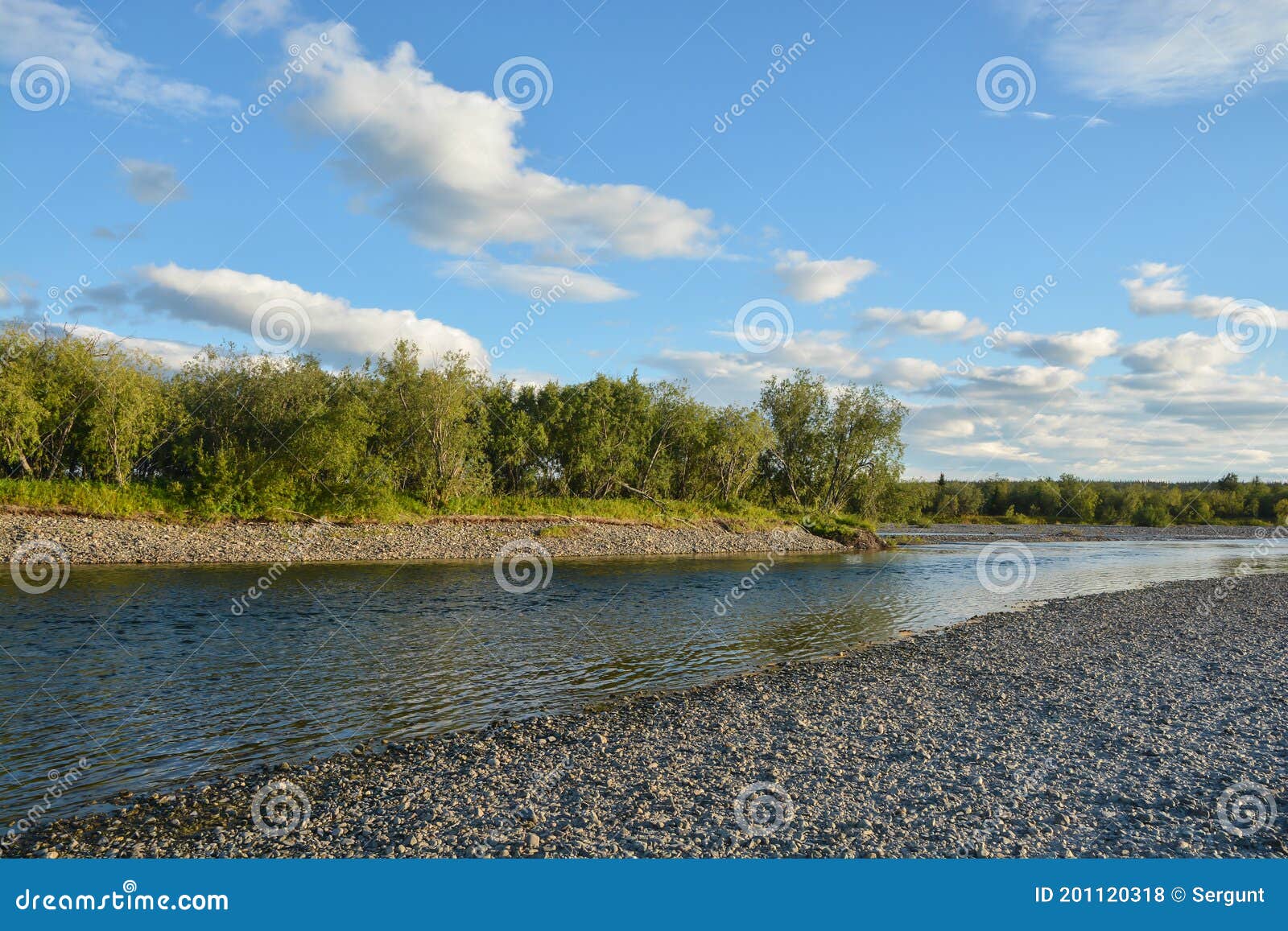 Taiga river stock photo. Image of scenic, tourism, scenery - 201120318