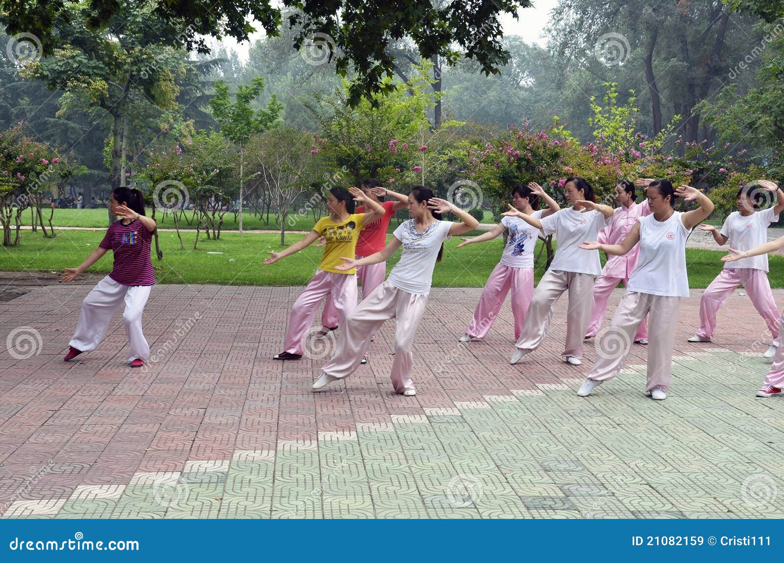 Taiji editorial stock image. Image of forest, tree, work - 21082159