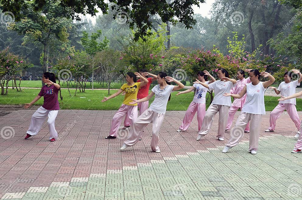 Taiji editorial stock image. Image of forest, tree, work - 21082159