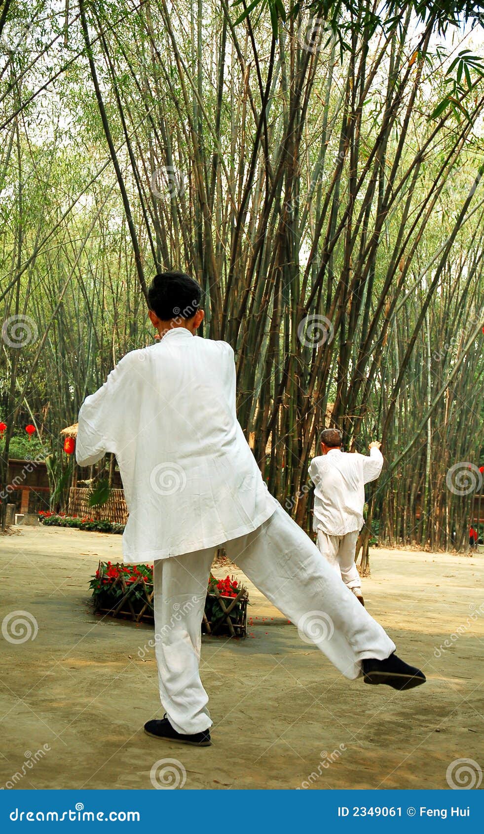 Taiji Quan stock image. Image of figure, china, beach - 2349061