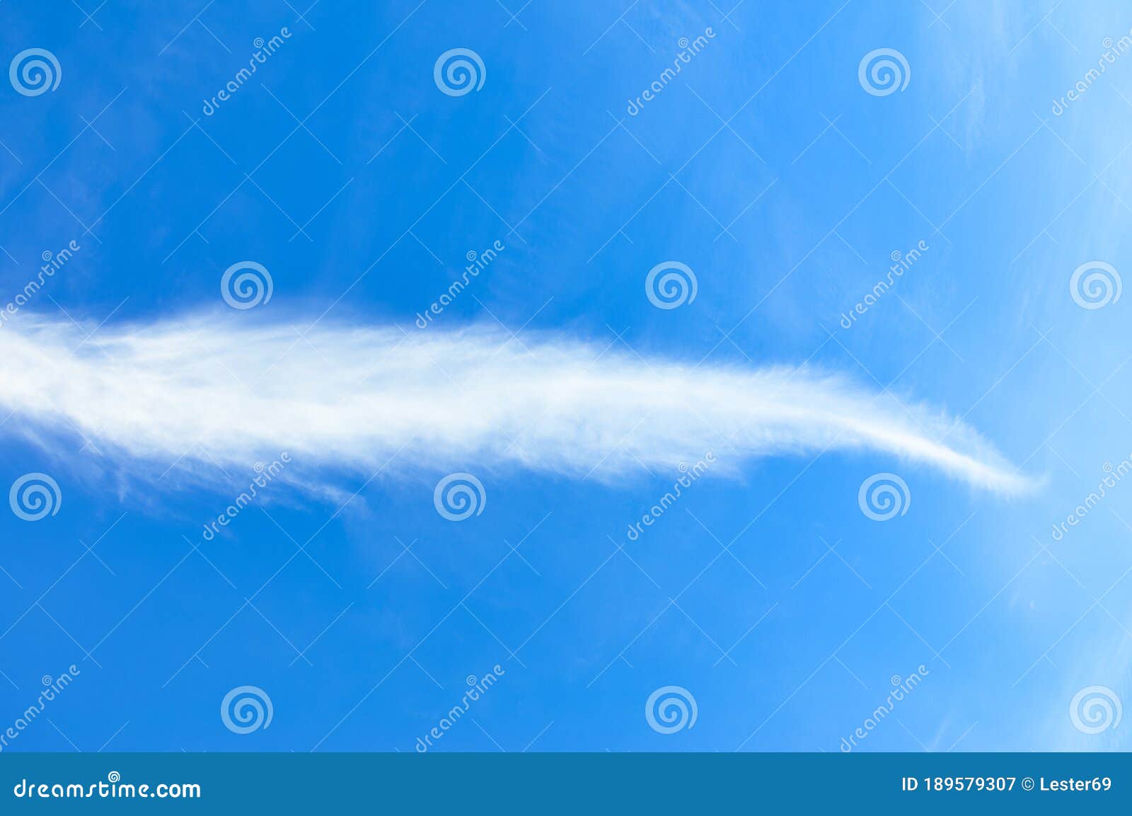 Tail Like Clouds in a Blue Sky Stock Image - Image of animals ...