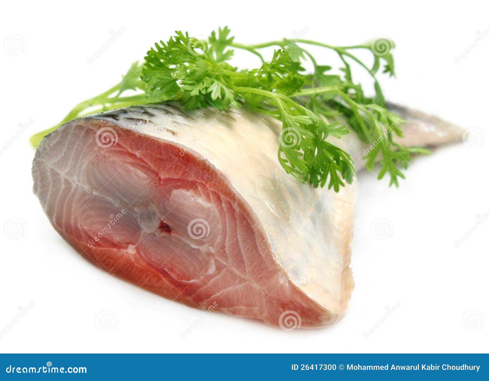 Tail Portion of the Famous Ilish Fish Stock Photo - Image of chopped ...