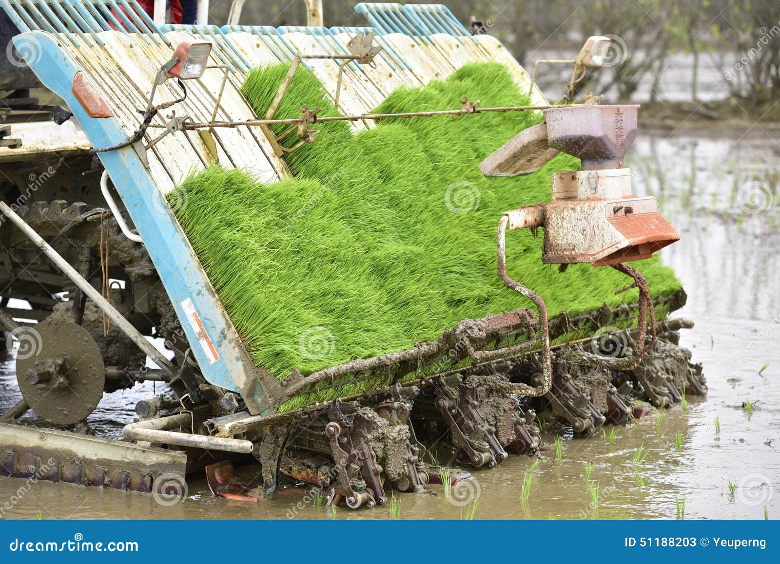 Tail of Rice Trans-planter. Stock Image - Image of transplanter ...