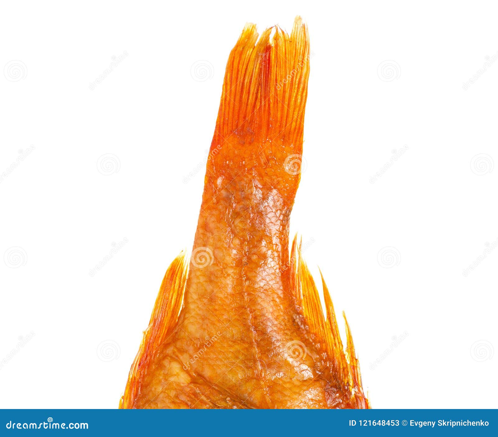 Tail of smoked fish perch stock image. Image of delicious - 121648453
