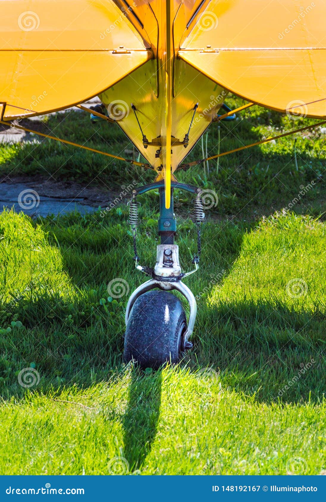 Tail Wheel and Horizontal Stabilizers, Rear View, of Single Engine ...
